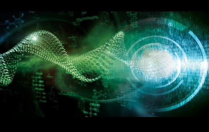 APDN enters synthetic fibres with Palmetto partnership - Fibre2Fashion