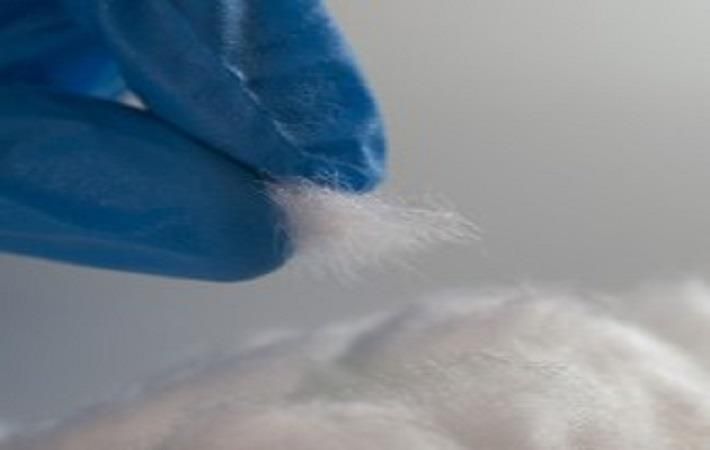 Technical Absorbents to showcase innovations at Greentech ...