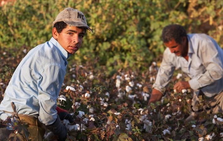 NCC for elimination of forced labour in textile production - Fibre2Fashion