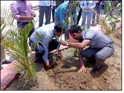 FDDI unleashes 'Green Week' campaign at Rae Bareli - Fibre2Fashion